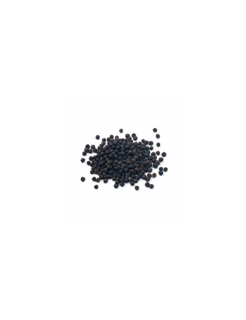 RECHARGE POIVRE NOIR GRAINS - COOK